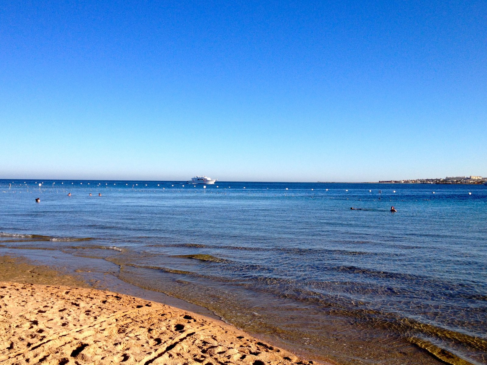 Discover the Hidden Treasures of the Red Sea in Egypt